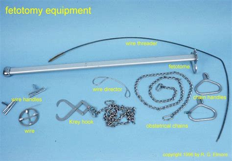 Bovine Obstetrics Images