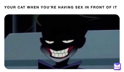 Your Cat When Youre Having Sex In Front Of It Divine One Memes
