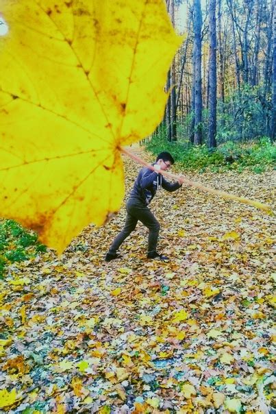 МБОУ СОШ № 55 им А Невского 14 лет 8Б класс Классный руководитель Бондарь Юлия Анатольевна