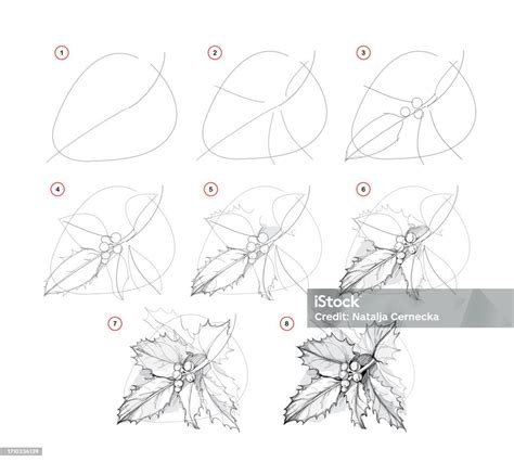 페이지는 홀리 베리 가지를 스케치하는 삶에서 그리는 법을 배우는 방법을 보여줍니다 연필 그리기 수업 아티스트를 위한 교육 페이지입니다 예술적 기술 개발을위한 교과서 온라인