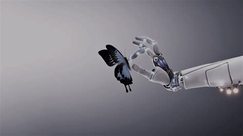 Achieving The Highest Level Of Operational Efficiency With Robotic