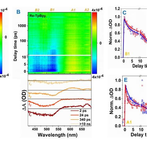 Pdf Ultrafast Charge Transfer Dynamics In 2d Covalent Organic Frameworksre Complex Hybrid