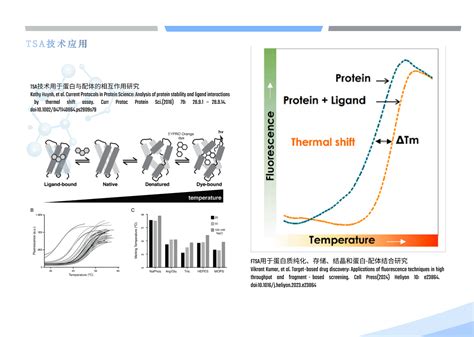高通量多功能蛋白质稳定性分析系统 蛋白稳定性 盛思泰仪器（苏州）有限公司