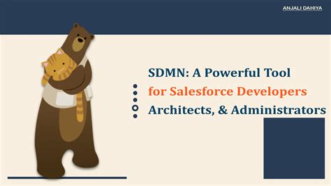Leading Salesforce Blog In Europe For Salesforce Professionals Anjali