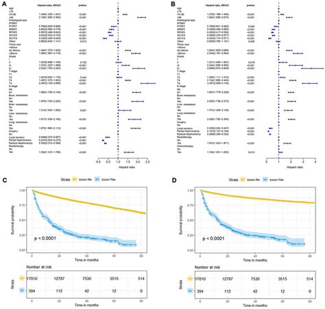 The Forest Plot Shows The Results Of Multivariate Cox Regression Download Scientific Diagram