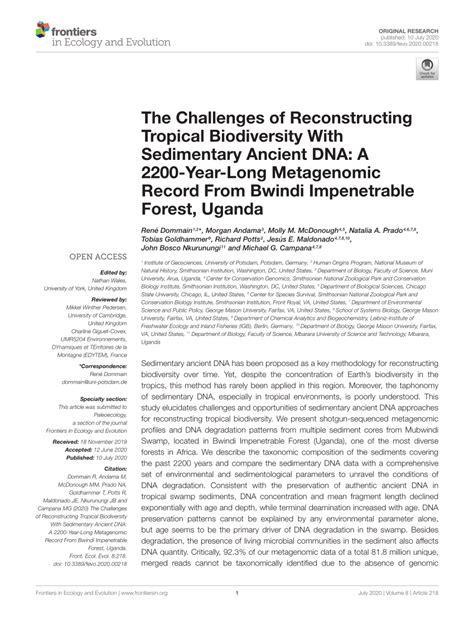 Pdf The Challenges Of Reconstructing Tropical Biodiversity With