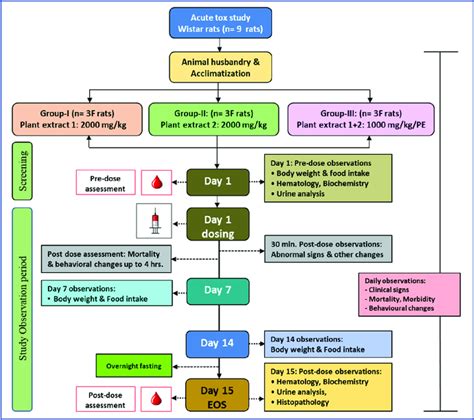 Acute Dose Toxicity Study Schema Download Scientific Diagram