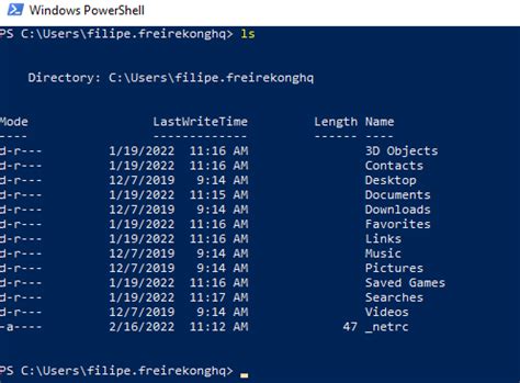 Netrc Authentication Does Not Work Under Windows Issue 4500 Kong Insomnia GitHub