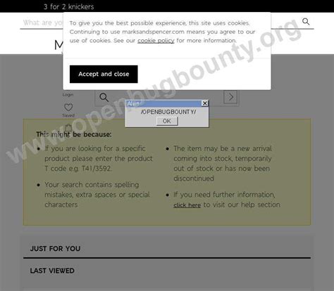 Cross Site Scripting Vulnerability Obb 808817