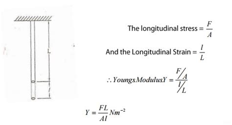 Types Of Moduli Of Elasticity