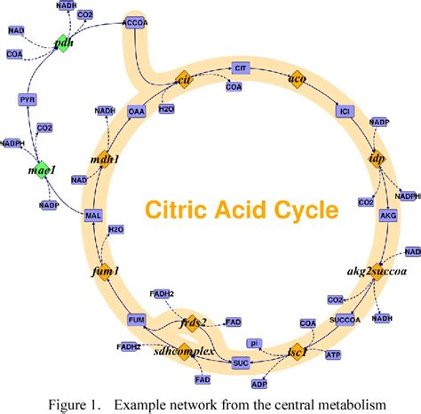 Figure 1 From Customizable Visualization Of Multi Omics Data In The