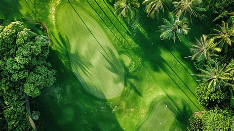 공중 평면도 배경 일러스트 공중 평면도 사진 및 배경 화면 무료 다운로드 Pngtree