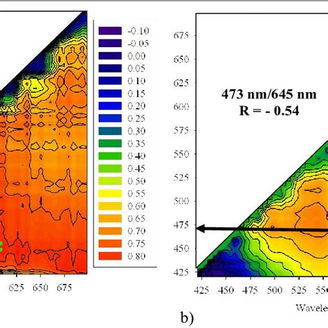 Contour Plots Of The Correlation Coefficients For The Two Wavelength