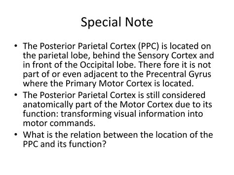The Motor Cortex Pptx