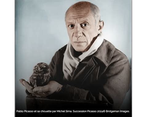 Exposition Pablo Picasso à Saint Rémy De Provence