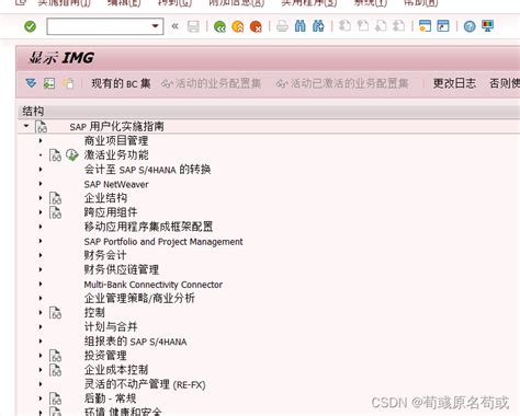 sap 的区域菜单 area menu 和 spro的技术信息 详解（tcode se43、ssm2、su3） sap se43 csdn博客
