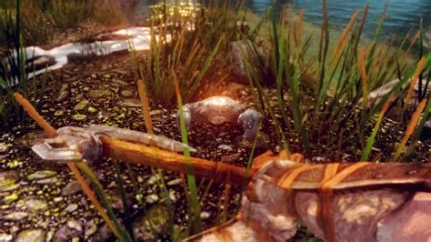 Color At Skyrim Nexus Mods And Community