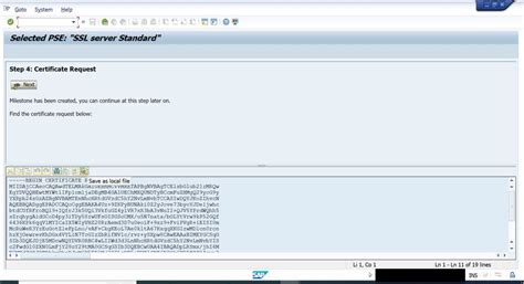 How To Update Abap Certificate Using Replacement W Sap Community