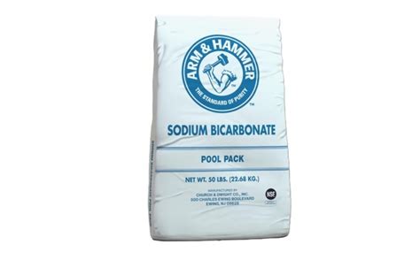 Pool360 50lb Bag Sodium Bicarbonate Pool Pack