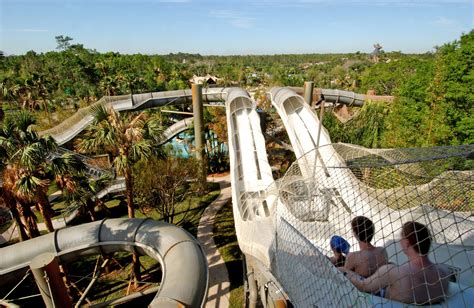 Typhoon Lagoon Disney Water Parks Everything You Need To Know