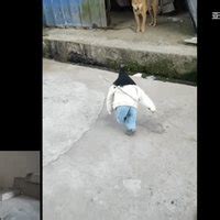 MDK Keil工程移植到STM CubeIDE后编译报警告 close lseek read write is not implemented and will always