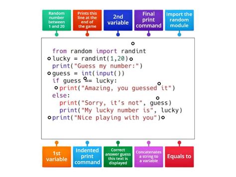 Label This Python Code Labelled Diagram