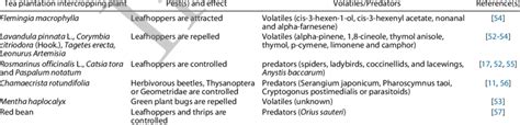 Effects Of Different Intercropping Patterns On Pests In Tea Plantations