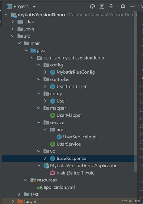 Mybatisplus使用optimisticlockerinnerinterceptor实现版本号乐观锁 Csdn博客