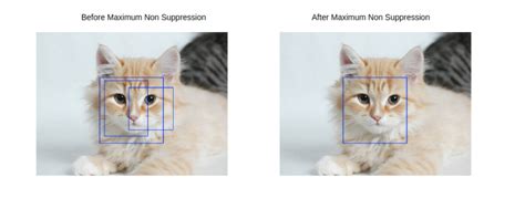 Build Your Social Distancing Detection Tool Using Deep Learning