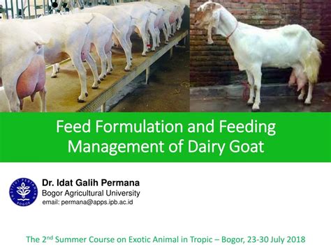 Ppt Feed Formulation And Feeding Management Of Dairy Goat Powerpoint