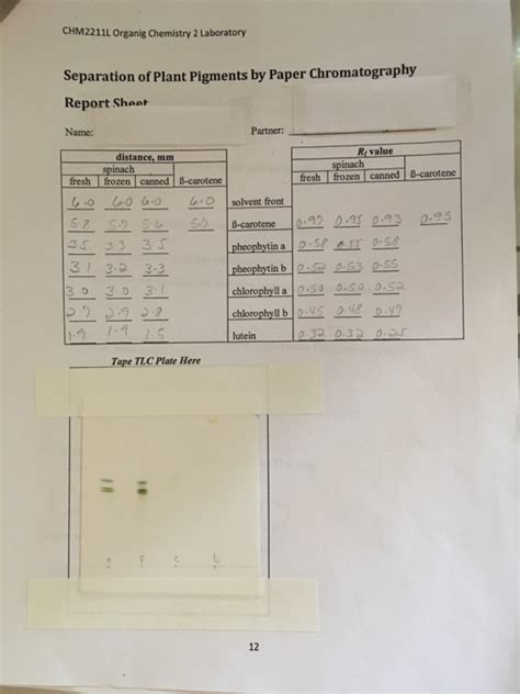 Solved This Is A Report Sheet For A Separation Of Plant Chegg