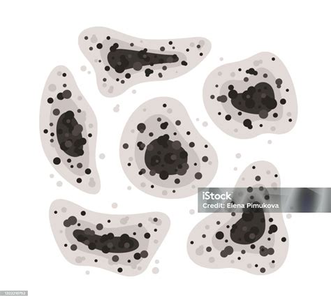 다른 모양의 검은 곰팡이 반점 독성 곰팡이 포자 곰팡이와 박테리아 집 벽에 얼룩이 있습니다 흰색 배경에 격리된 벡터 그림 가정 생활에 대한 스톡 벡터 아트 및 기타 이미지