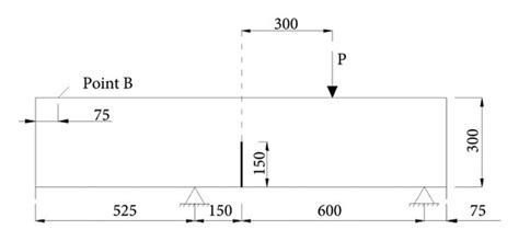geometric dimensions forces and boundary conditions of specimens
