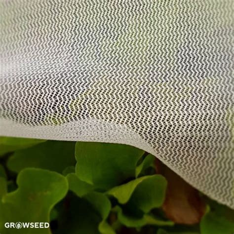 Insect Netting Homebase At Bianca Wilson Blog