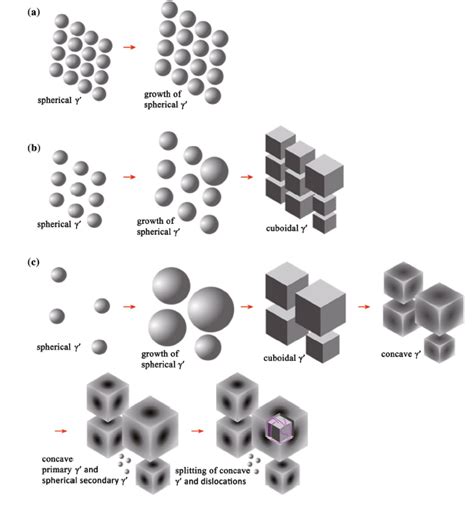 microstructure evolution of primary γ′ phase in ni3al based superalloy