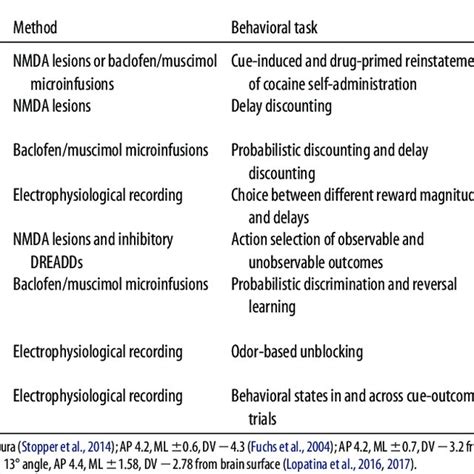 Targeting Of Rat Lo Frontal Cortex A Download Scientific Diagram
