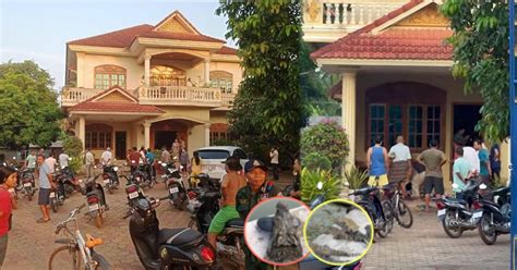 ស្លុតចិត្ត ទាំងព្រឹកនៅសៀមរាប បុរសម្នាក់ជាម្ចាស់ចិញ្ចឹមក្រពេី ត្រូវបា ត់ ប ង់ ជី វិ ត ព្រោះ