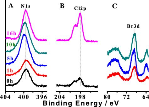 Xps Spectra Of A N 1s B Cl 2p And C Br 3d At Different Times