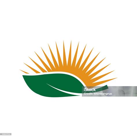 흰색 배경vector 일러스트 레이 터에 녹색 잎 자연 요소 아이콘의 생태 디자인 0명에 대한 스톡 벡터 아트 및 기타 이미지 0명 개념 꽃 식물 Istock