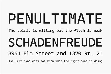 Cascadia Code Fonts Shmonts