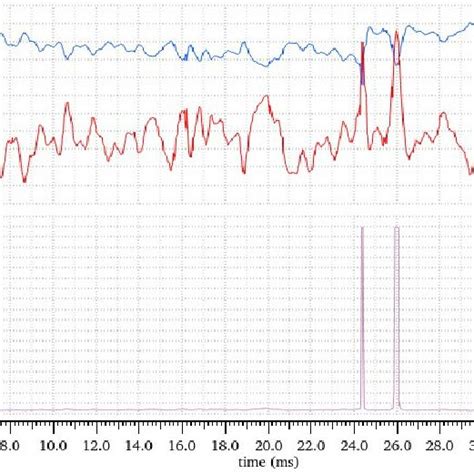 Simulation Results Of Action Potential Detection Download Scientific