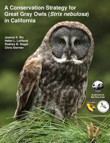 A Conservation Strategy For Great Gray Owls Sierra Nevada Meadows