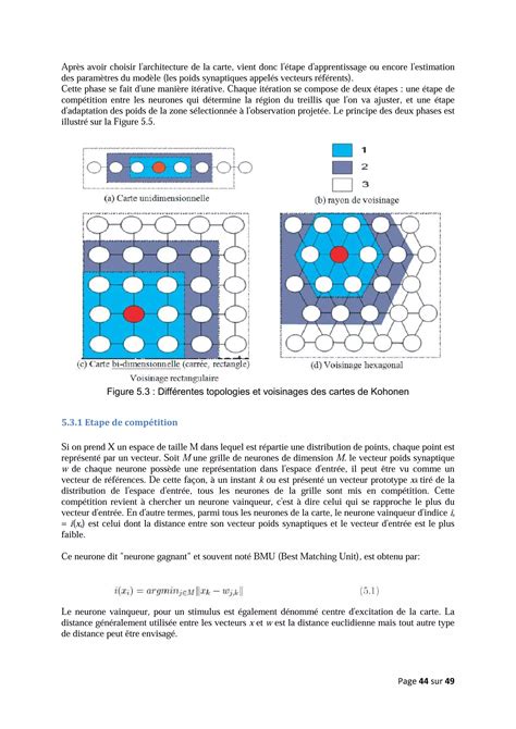 cartes de kohonen pdf