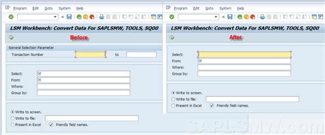Add Parameters To An Lsmw Object And Describe Them