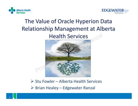 The Value Of Oracle Hyperion Data Relationship Management At Alberta