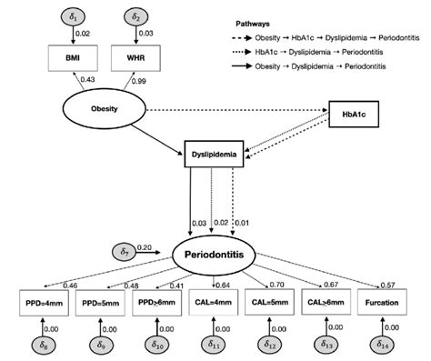 Indirect Effects Of The Full Structural Equation Models On The Download Scientific Diagram