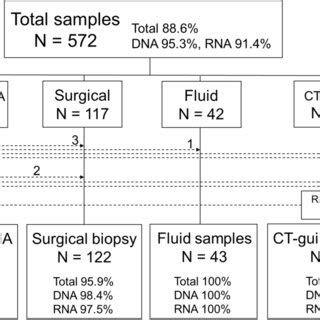 Classification Of Sampling Methods For Submitted Specimens A Total Of Download Scientific
