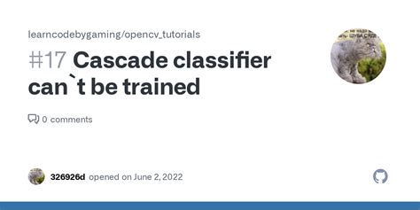 Cascade Classifier Can T Be Trained Issue 17 Learncodebygaming