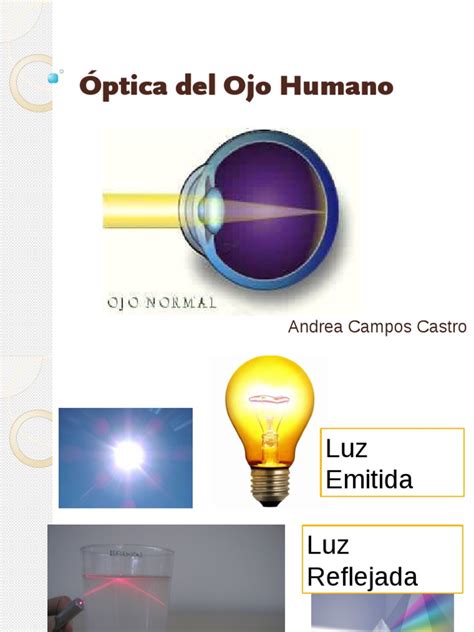 Ojo Como Sistema Optico Ojo Humano Percepción Visual Prueba Gratuita De 30 Días Scribd