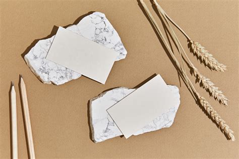 모의 방문 카드 바위 천연 소재 건조 식물 및 개인 액세서리와 창조적 인 플랫 평신도 구성 중립 색상 상단 보기 템플릿 0명에 대한 스톡 사진 및 기타 이미지 Istock